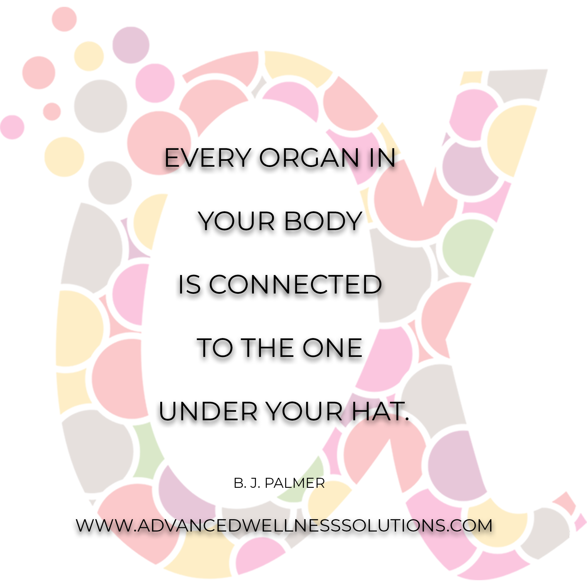 What is the Palmer Package - Advanced Wellness Solutions